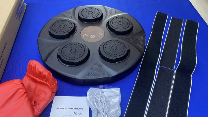 SMART BOXING W/ GLOVES | Lazada PH