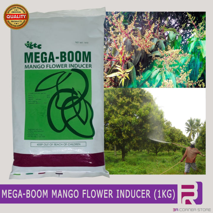 Mega-Boom Mango Flower inducer (1KG) by 3R Corner Store | Lazada PH