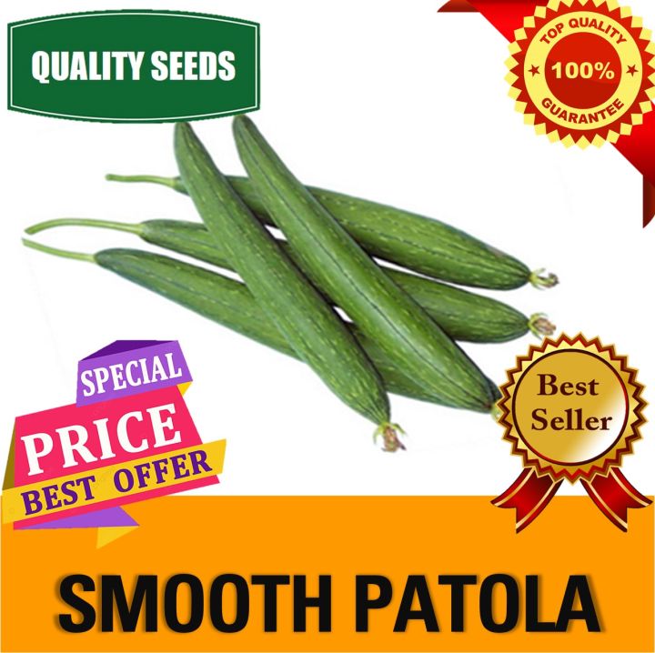 SMOOTH PATOLA/ SEEDS/ VEGETABLE SEEDS | Lazada PH