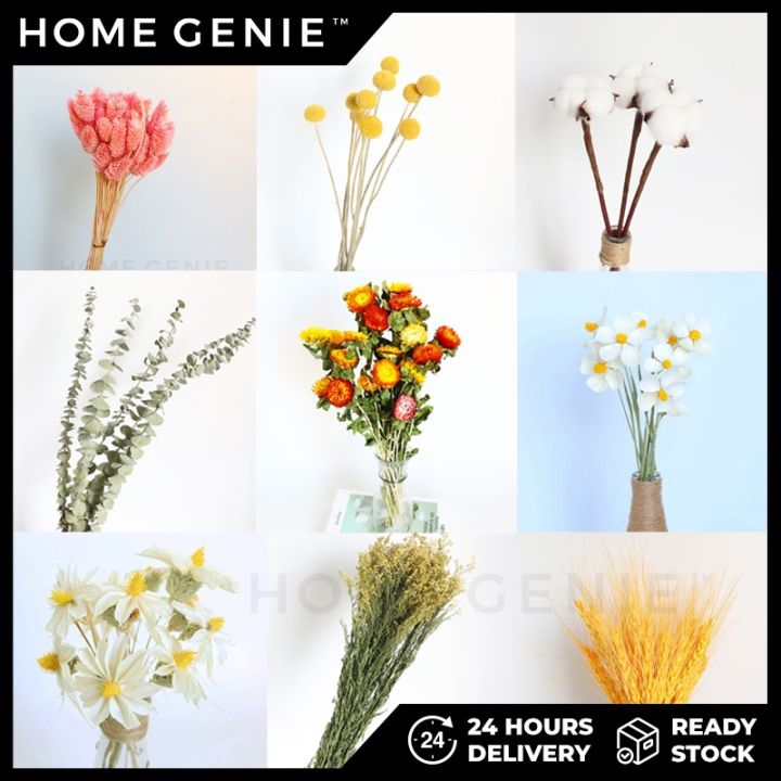 Pampas Grass Fluffy Dried Flower Natural Bunga Pampas Grass Artificial ...