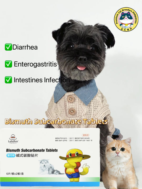 Lufeipet's Bismuth subcarbonate tablets for pet dog cats diarrhea ...