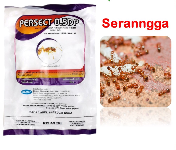 Insecticide 250g Racun Serangga Ant Killing Bait Racun Semut Merah ...