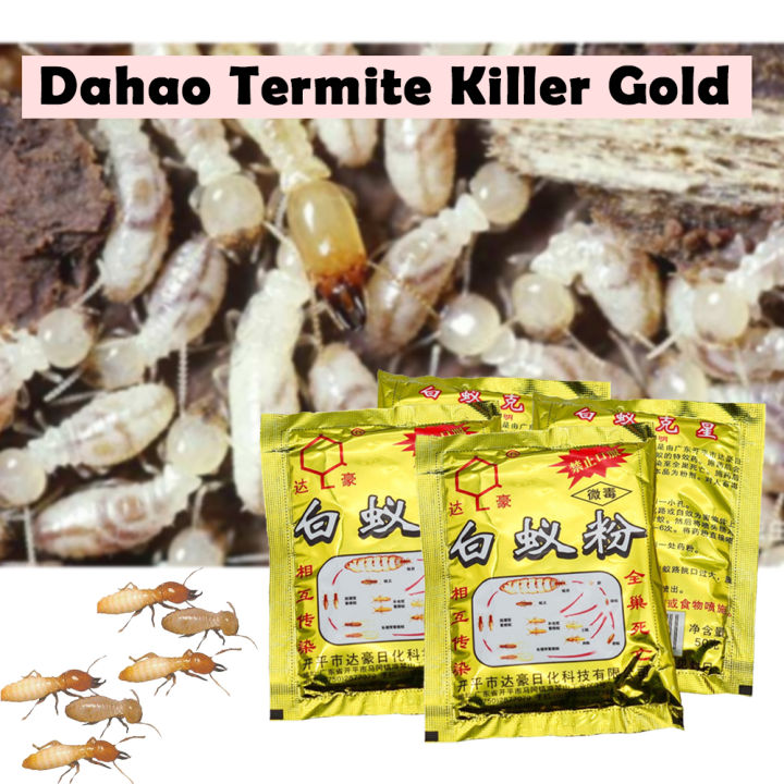 Termite Killer Powder Strong Effects Termite White Ants Powder Termite ...