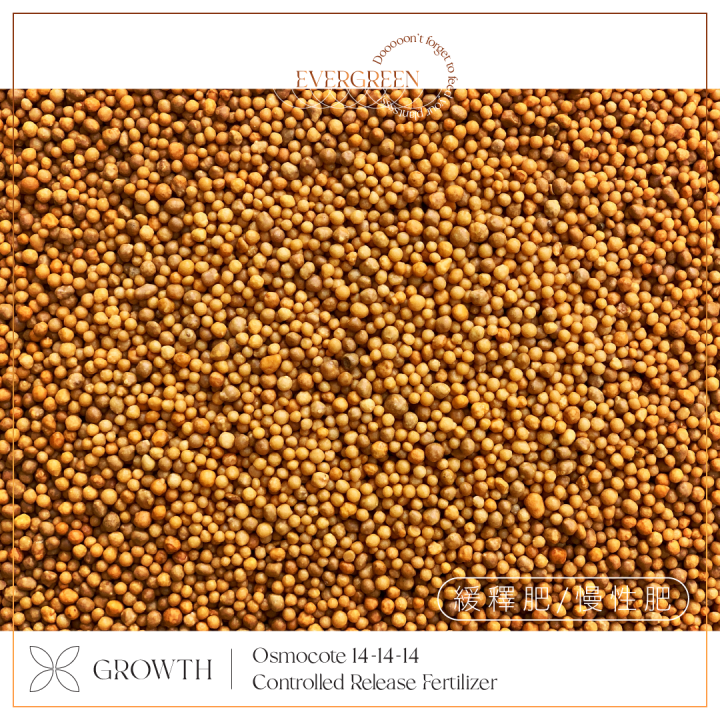 【Controlled Release Fertilizer】Osmocote NPK 14:14:14 缓释肥/慢性肥 (350g ...