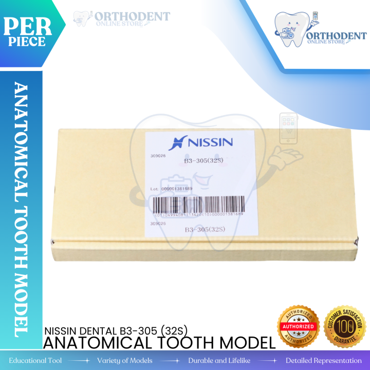 Orthodent2021 | Nissin Anatomical Model B3-305 | Lazada PH