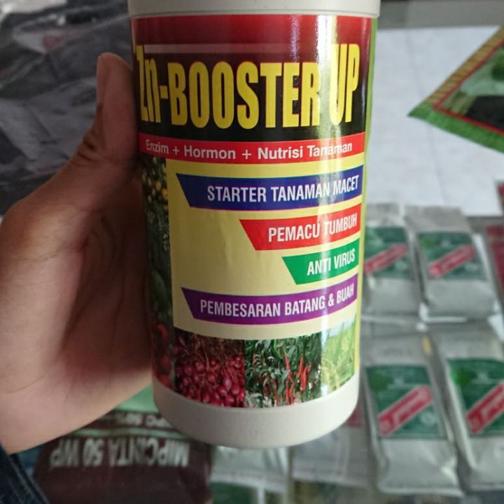 ZN BOOSTER UP 500 ml | Lazada Indonesia