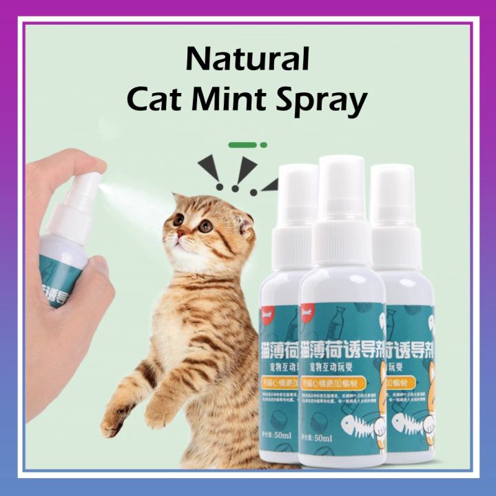 Happy Pet Catnip Cat Mint Spray 50ml Catmint Grass Relax Pet Semburan ...