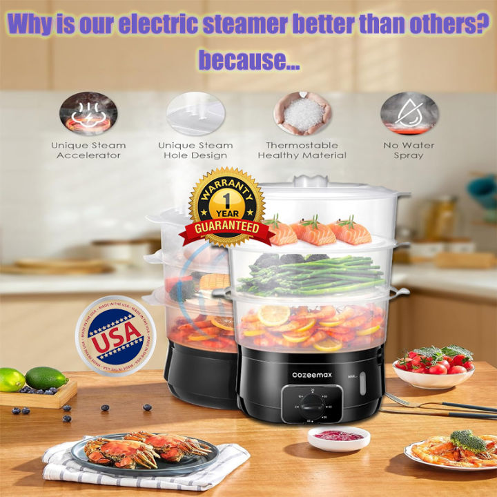 Electric steamer, multi-function electric steamer, multi-function ...