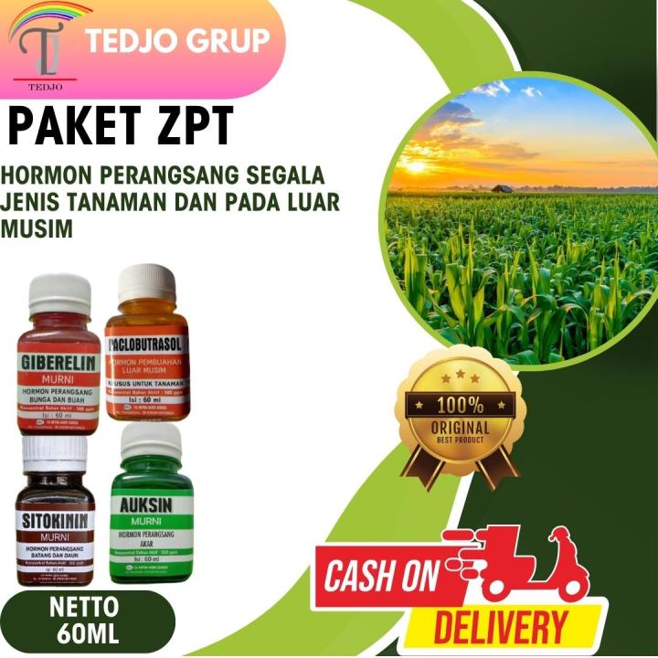 Paket Pupuk Hormon ZPT Pertumbuhan & Perkembangan Tanaman Auksin ...