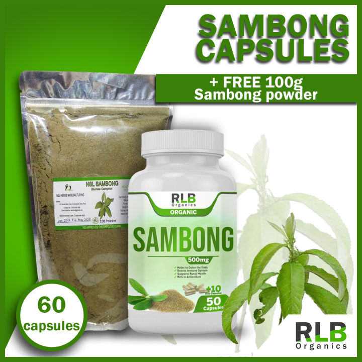 Pure Organic Natural Sambong Capsules (60 Capsules) + FREE 100 grams ...