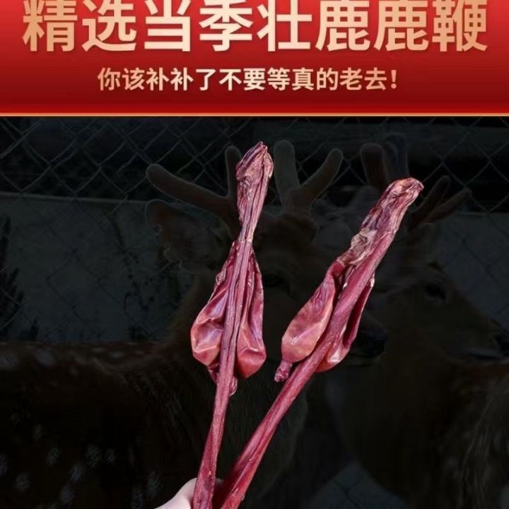 Deer whip dried whole bullwhip deer whip powder nourishing deer whip ...