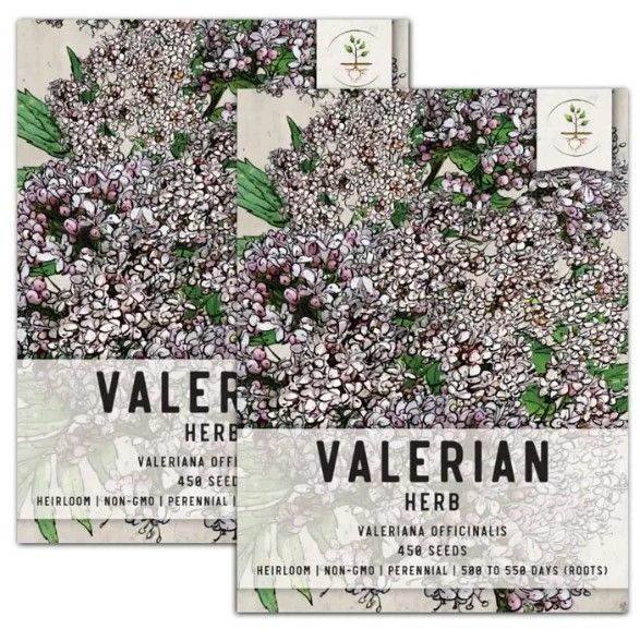 Seed Needs, Common Valerian (Valeriana officinalis) Twin Pack of 450 ...