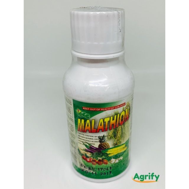 Malathion 250ml Insectcontrol | Lazada PH