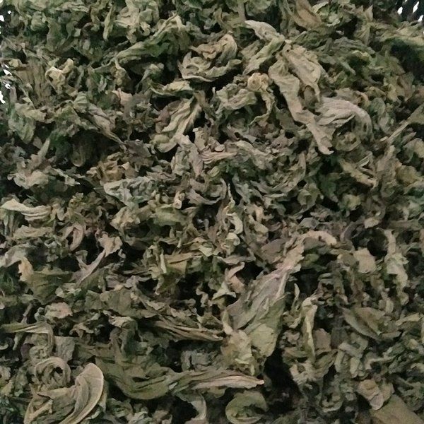 Daun insulin kering / serbuk(Tithonia diversifolia) pokok paitan tidak ...