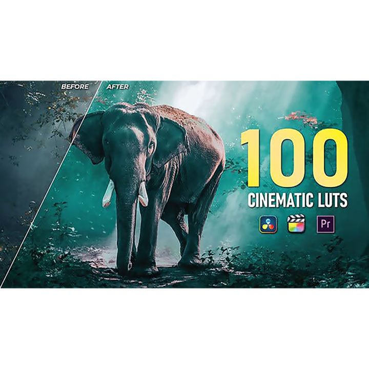 100 Cinematic LUTs Color Grading (Final Cut Pro,Premiere Pro, Davinci Resolve ) | Lazada
