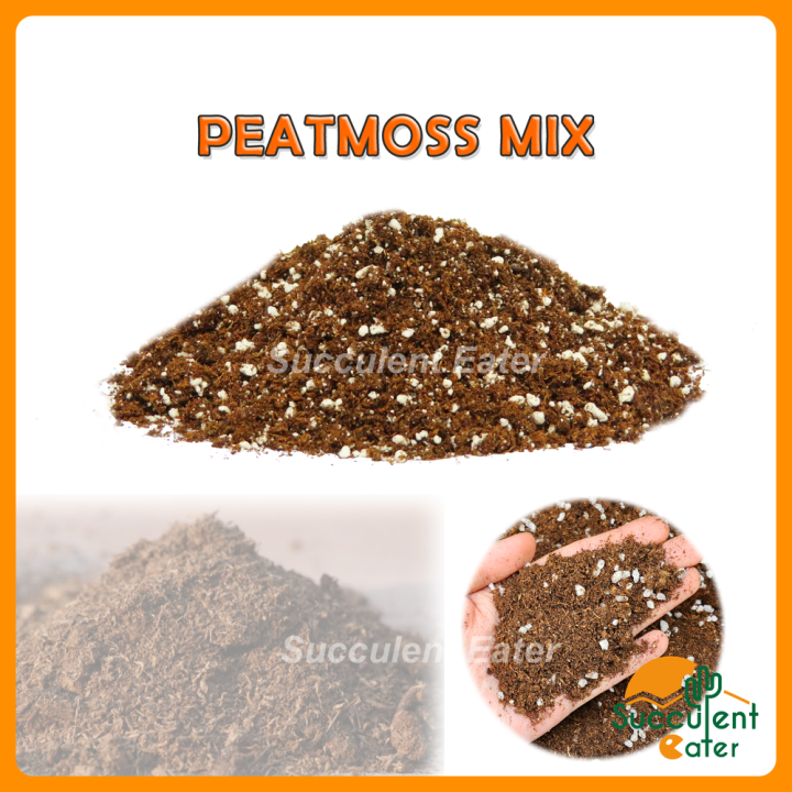 1L Peatmoss mix Perlite Vermiculite Peat Moss For Cactus & Succulents ...
