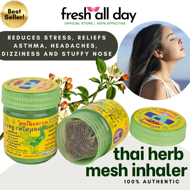 THAILAND Herbal Medicine Mesh Nasal Compound Inhaler 40g | Lazada PH
