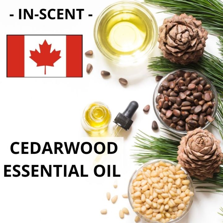 Pure Cedarwood Essential Oil (Canada) 10ML, 50ML | Lazada