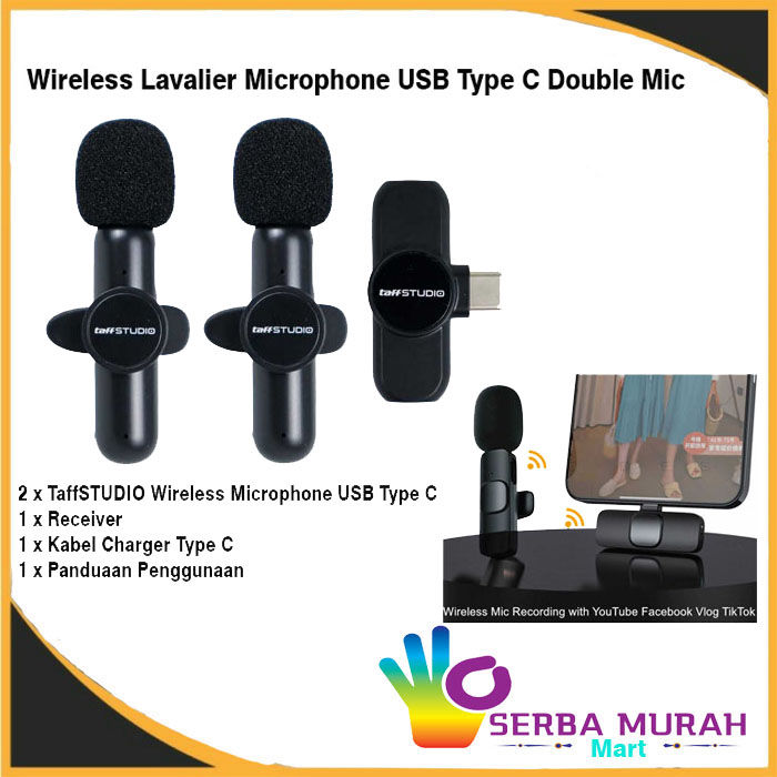 Microphone Portable Wireless Lavalier Mic USB Type C Double Microphone ...