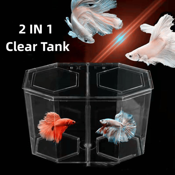 Aquarium Dual Betta Fish tank 2 in 1 Clear Tank With Divider | Lazada PH