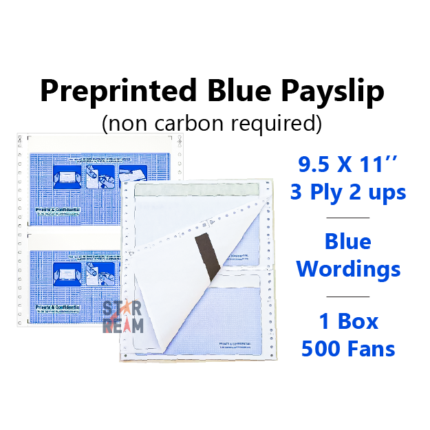 Professional Computer Form NCR Payslip 9.5 X 11'' 3PLY 2UP (500 Fan/Box ...