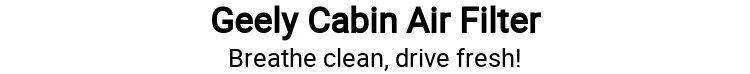 Geely Cabin Air Filter for Geely Okavango PN# 8025530400 | Lazada PH