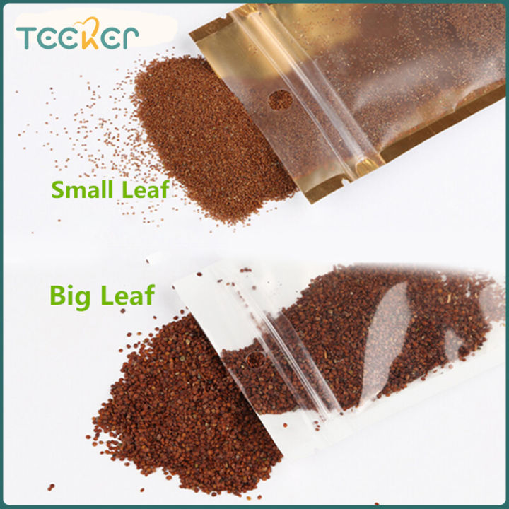 Teeker Aquarium Grass Plant Seeds Aquarium Small Leaf Grass Water Grass ...