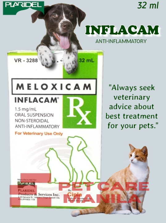 INFLACAM 32ml (1.5mg MELOXICAM per ml) | Lazada PH