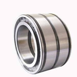 Bearing / Laker / Laher SL 04-5007 PP2NRX ASB | Lazada Indonesia