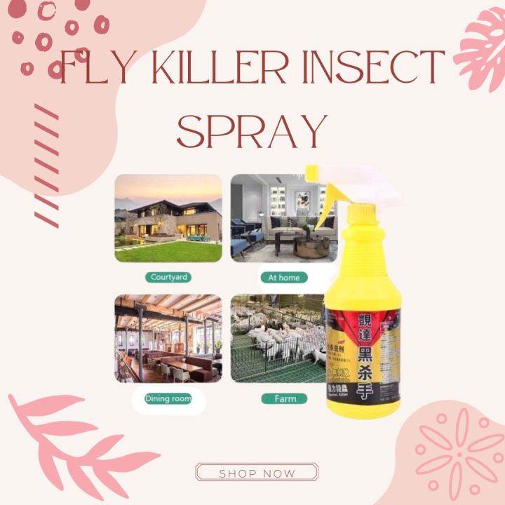fly spray Fly Killer Effective Fly Killing Bait Fly Killer Bait Fly ...