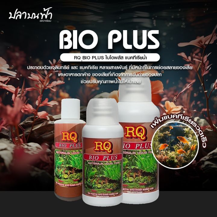 RQ BIO PLUS แบคทีเรียย่อยสลายของเสียในน้ำ ช่วยปรับปรุงคุณภาพน้ำไม่ให้ ...