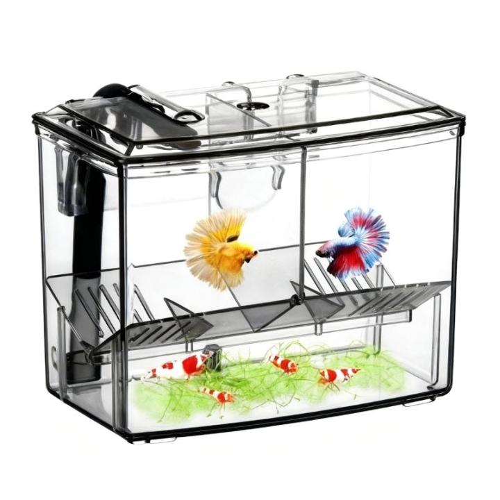 External Aquarium Isolation Tanks for Fish and Shrimp Breeding and ...