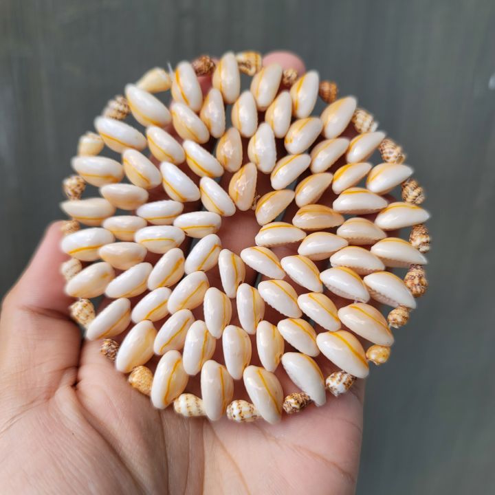 Shells Cowrie Round Coaster 4 inch | Lazada PH