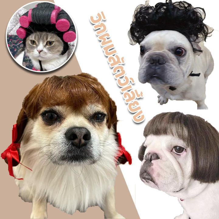 【Dargly】วิกผมสัตว์เลี้ยง หมวกสัตว์เลี้ยง พร็อพถ่ายรูปสัตว์เลี้ยง สําหรับสุนัข แมว คลุมหัวสัตว์ ...