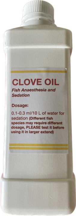 Fish Anaesthetic/ Transport Clove Oil 1L Minyak Pelali Ikan ...