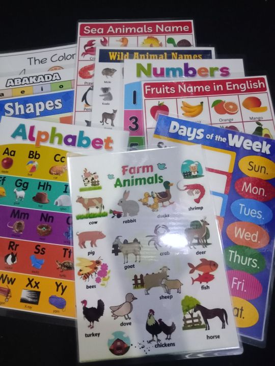 Laminated Charts for Kids | Lazada PH