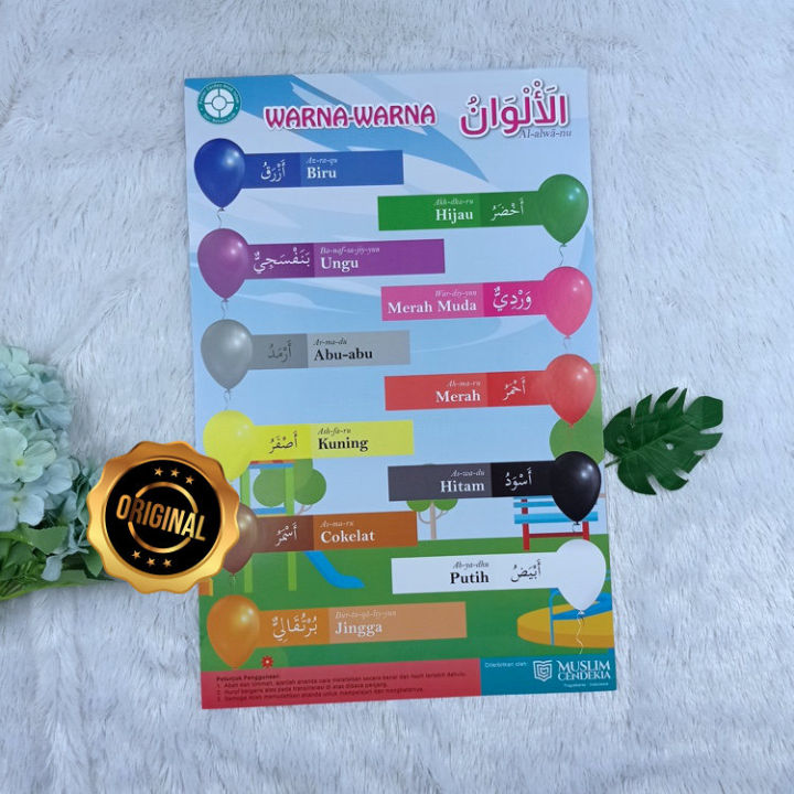 Poster Warna-Warna | Lazada Indonesia
