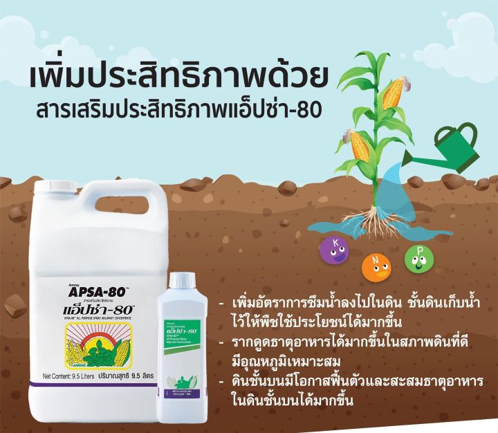 ถูกสุด พิเศษสุด ใช้ดี จำนวนจำกัด Apsa 80 แอปซ่า 80 ขนาด 9.5 ลิตร สาร ...