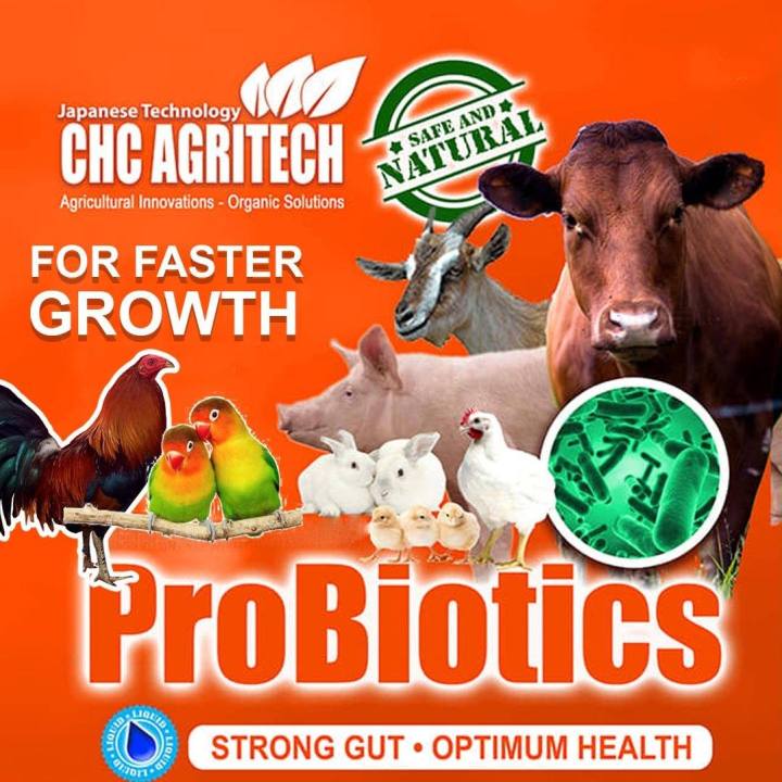 Probiotics for Dogs, Cats, Rabbits, Birds, and Farm Animals – CHC ...