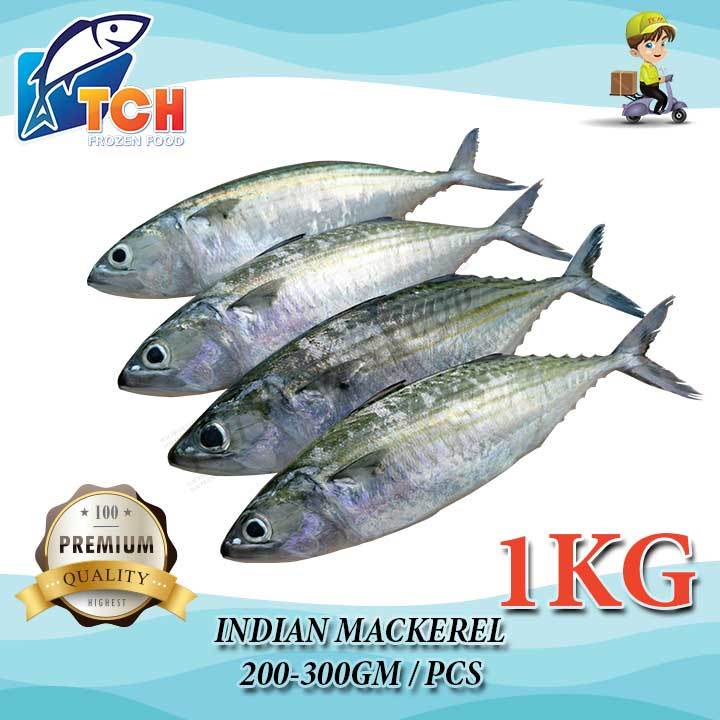 IKAN KEMBONG (4/6), INDIAN MACKEREL , TCH FROZEN FOOD, FRESH FROZEN ...