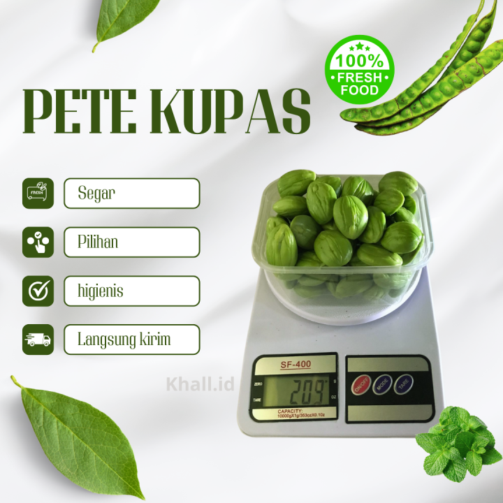 pete petai kupas 100gram lalapan segar langsung petik dari pohon ...