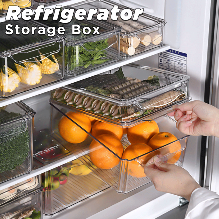 Everyday Homey Refrigerator Storage Box |Rectangular Fruit & Vegetable ...