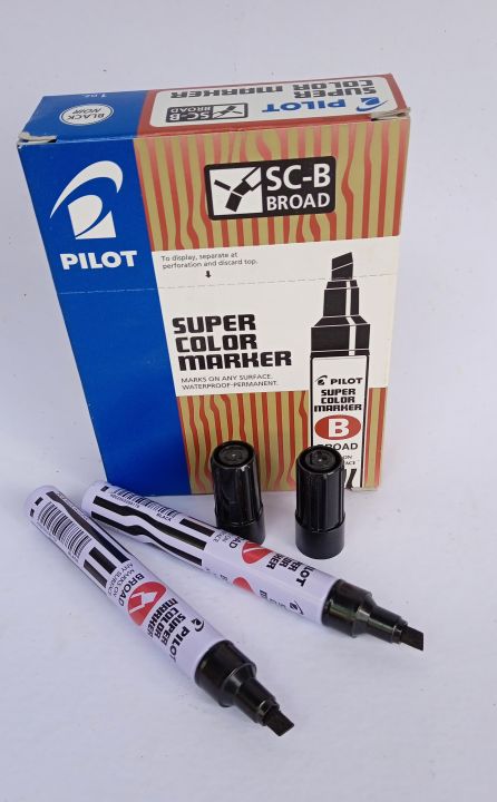 PILOT PENTELPEN/PERMANENT MARKING PEN BROAD PEN COLOR BLACK | Lazada PH