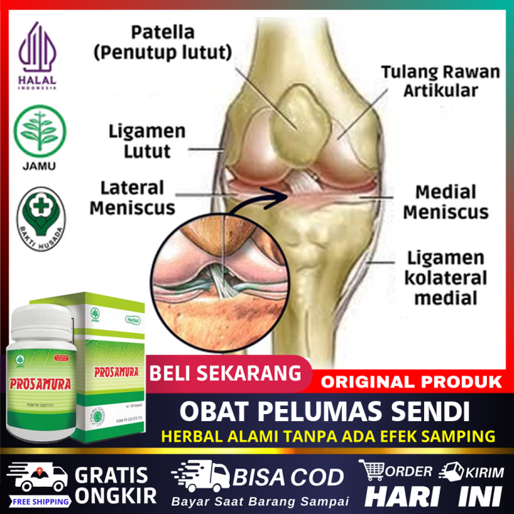 Obat pengapuran Sendi Lutut Tulang Kaki Minyak Pelumas Tulang Dan Sendi ...