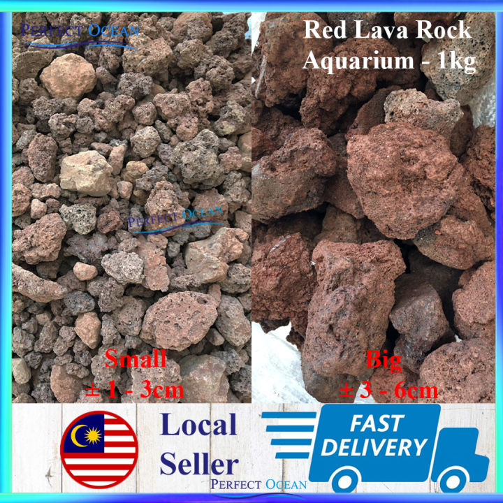 Red Lava Rock Aquarium Pasir Malang 1kg Aquascape Volcano Stone 红火山石 🌊READY STOCK🌊 | Perfect ...