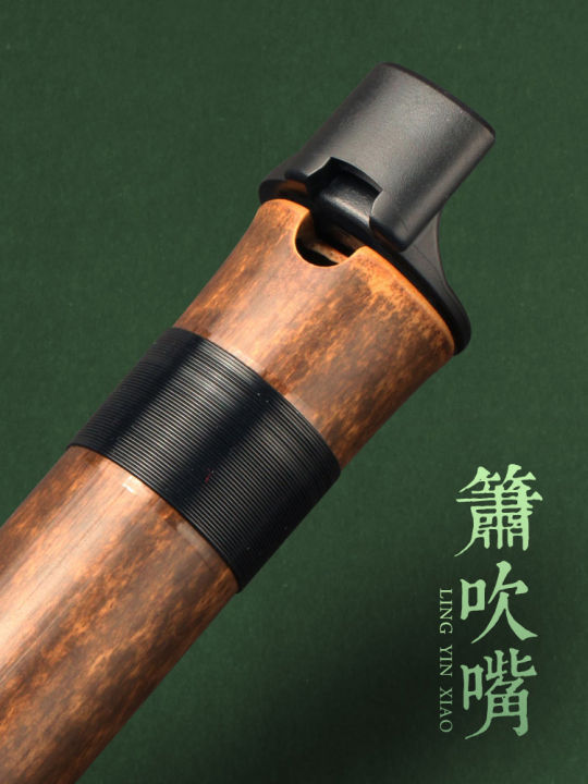 Beginners' introduction to zero-based flute blowing AIDS Xiao musical ...