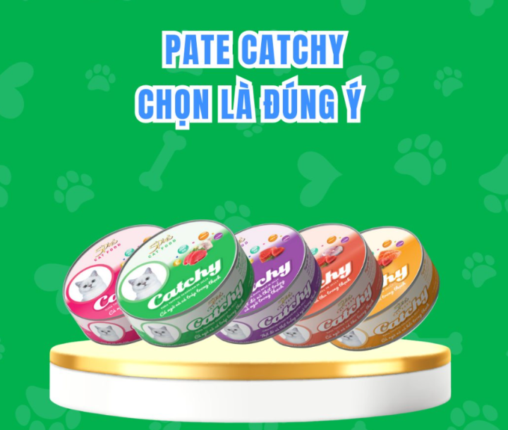 Pate mèo Catchy 5plus Lon 170g, pate dạng thạch dinh dưỡng cho mèo ...