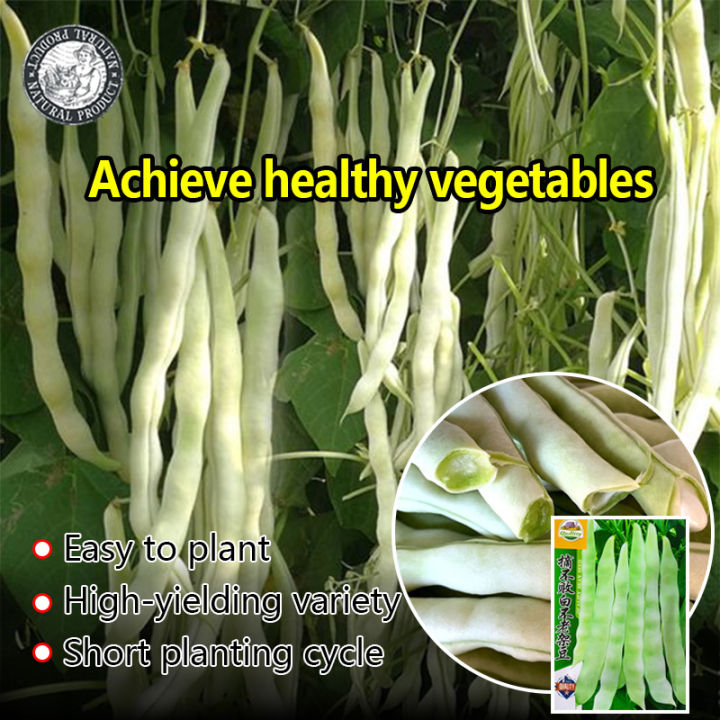 [Spot goods] Organic Seeds Easy To Grow In Philippines High Yield ...