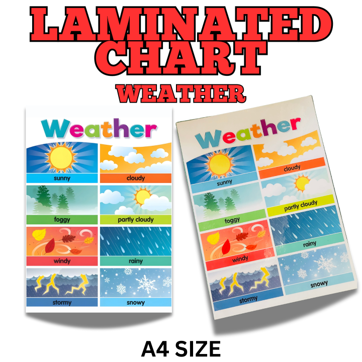 WEATHER LAMINATED CHARTS FOR TODDLERS AND KIDS | Lazada PH