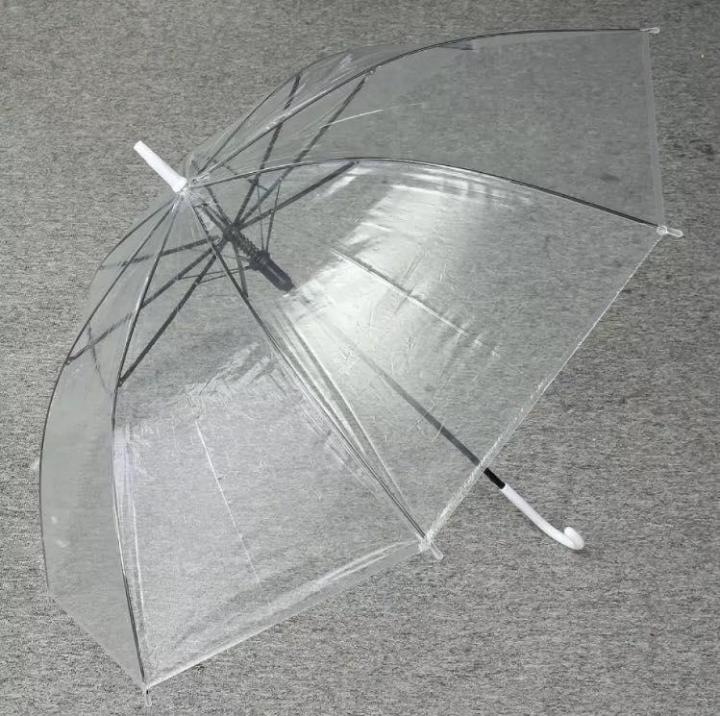 Transparent Clear Rain Umbrella Parasol PVC Dome | Lazada PH